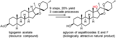 Synthesis of the aglycon of aspafiliosides E and F based on cascade ...