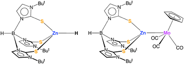 Synthesis, structure and reactivity of [TmBut]ZnH, a monomeric terminal ...