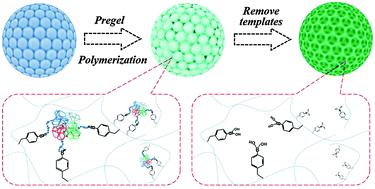 Boronate affinity molecularly imprinted inverse opal particles for ...