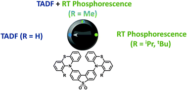 The interplay of thermally activated delayed fluorescence (TADF) and ...