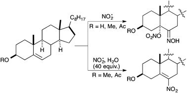 Oxidation of cholesterol and O-protected derivatives by the ...