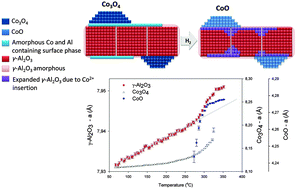 Capturing metal-support interactions in situ during the reduction of a ...