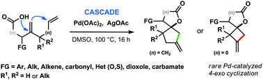 Cascade Pd(ii)-catalyzed Wacker lactonization–Heck reaction: rapid ...
