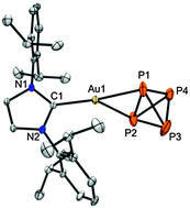 Functionalization of P4 in the coordination sphere of coinage metal ...