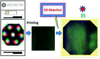 Fluorescence imaging technology (FI) for high-throughput screening of ...