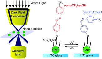 Reversible photoisomerization of azobenzene molecules on a single gold ...