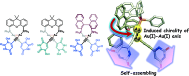 Dinuclear organogold(i) complexes bearing uracil moieties: chirality of ...