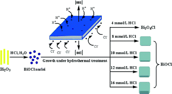 Controlled synthesis of thin BiOCl nanosheets with exposed {001} facets ...