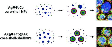 Formation mechanism of magnetic–plasmonic Ag@FeCo@Ag core–shell–shell ...