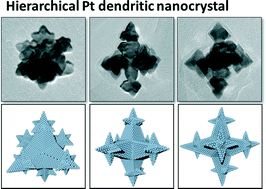 One step synthesis of hierarchical dendritic Pt nanostructures with a ...