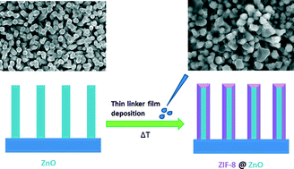 Facile formation of ZIF-8 thin films on ZnO nanorods - CrystEngComm ...