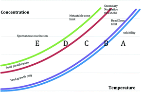 A perspective on the growth-only zone, the secondary nucleation ...