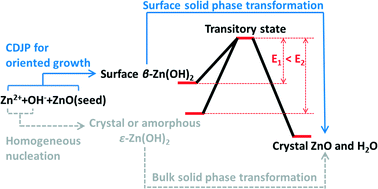 Pathway of zinc oxide formation by seed-assisted and controlled double ...