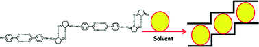 A gallic acid–succinimide co-crystal landscape: polymorphism ...
