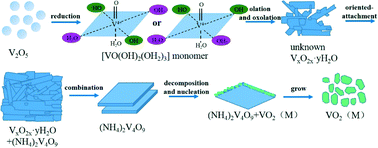 An intermediate phase (NH4)2V4O9 and its effects on the hydrothermal ...