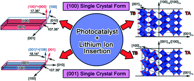 Single crystal forms induced diverse interface structures in TiO2 (B ...