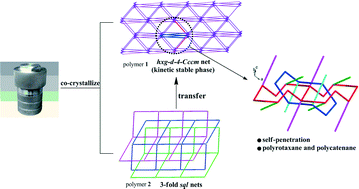 Thermodynamically stable MOF showing a highly rare four-connected hxg-d ...