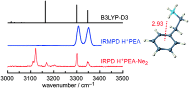 IR spectrum of the protonated neurotransmitter 2-phenylethylamine ...