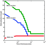 B800–B850 coherence correlates with energy transfer rates in the LH2 ...