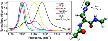 β-Isocyanoalanine as an IR probe: comparison of vibrational dynamics ...