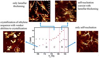 Tuning the crystalline and mesophase structure of olefin block copolymer through self-nucleation ...