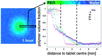 Kinks in experimental diffusion profiles of a dissolving semi ...