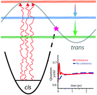 Quantum coherence effects in natural light-induced processes: cis–trans ...