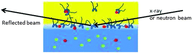 Structure of a liquid/liquid interface during solvent extraction ...