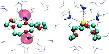 Remarkable conformational flexibility of aqueous 18-crown-6 and its ...