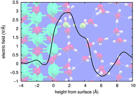 Strong electric fields at a prototypical oxide/water interface probed ...