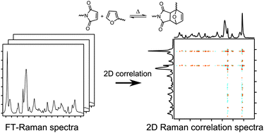 Two-dimensional Raman correlation spectroscopy reveals molecular ...