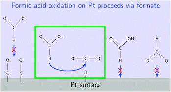 Formic acid oxidation on platinum: a simple mechanistic study ...