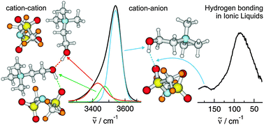 Spectroscopic evidence of ‘jumping and pecking’ of cholinium and H-bond ...