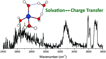 Coordination structure and charge transfer in microsolvated transition ...