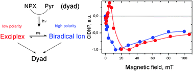 Low field photo-CIDNP in the intramolecular electron transfer of ...