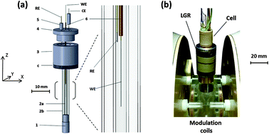 Electrochemical electron paramagnetic resonance utilizing loop gap ...