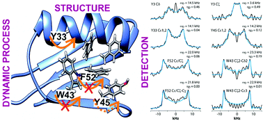 Analysis of local molecular motions of aromatic sidechains in proteins ...