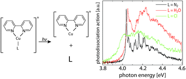 Ligand influence on the electronic spectra of monocationic copper ...