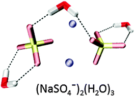 Probing the microsolvation of a quaternary ion complex: gas phase ...