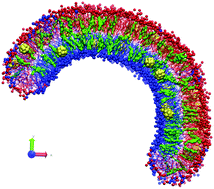 Interaction of C60 fullerenes with asymmetric and curved lipid membranes: a molecular dynamics ...