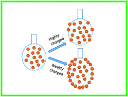Role of electrostatic interactions in the adsorption kinetics of ...