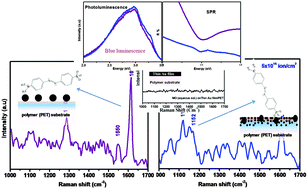 Optical and surface enhanced Raman scattering properties of Au ...