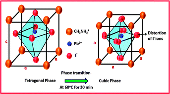 Phase transition kinetics and surface binding states of methylammonium ...