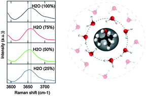 Hydrogen-bonding and vibrational coupling of water in a hydrophobic ...