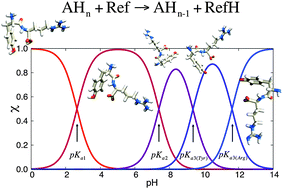 Isodesmic reaction for accurate theoretical pKa calculations of amino ...