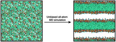 Simulation of lipid bilayer self-assembly using all-atom lipid force ...