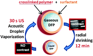 Complex interfaces in “phase-change” contrast agents - Physical ...