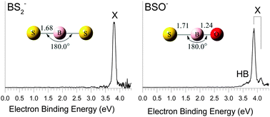 Superhalogen properties of BS2− and BSO−: photoelectron spectroscopy ...