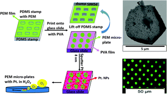 Self-propelled two dimensional polymer multilayer plate micromotors ...