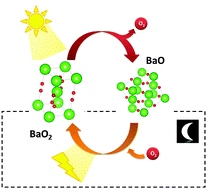Revisiting the BaO2/BaO redox cycle for solar thermochemical energy ...